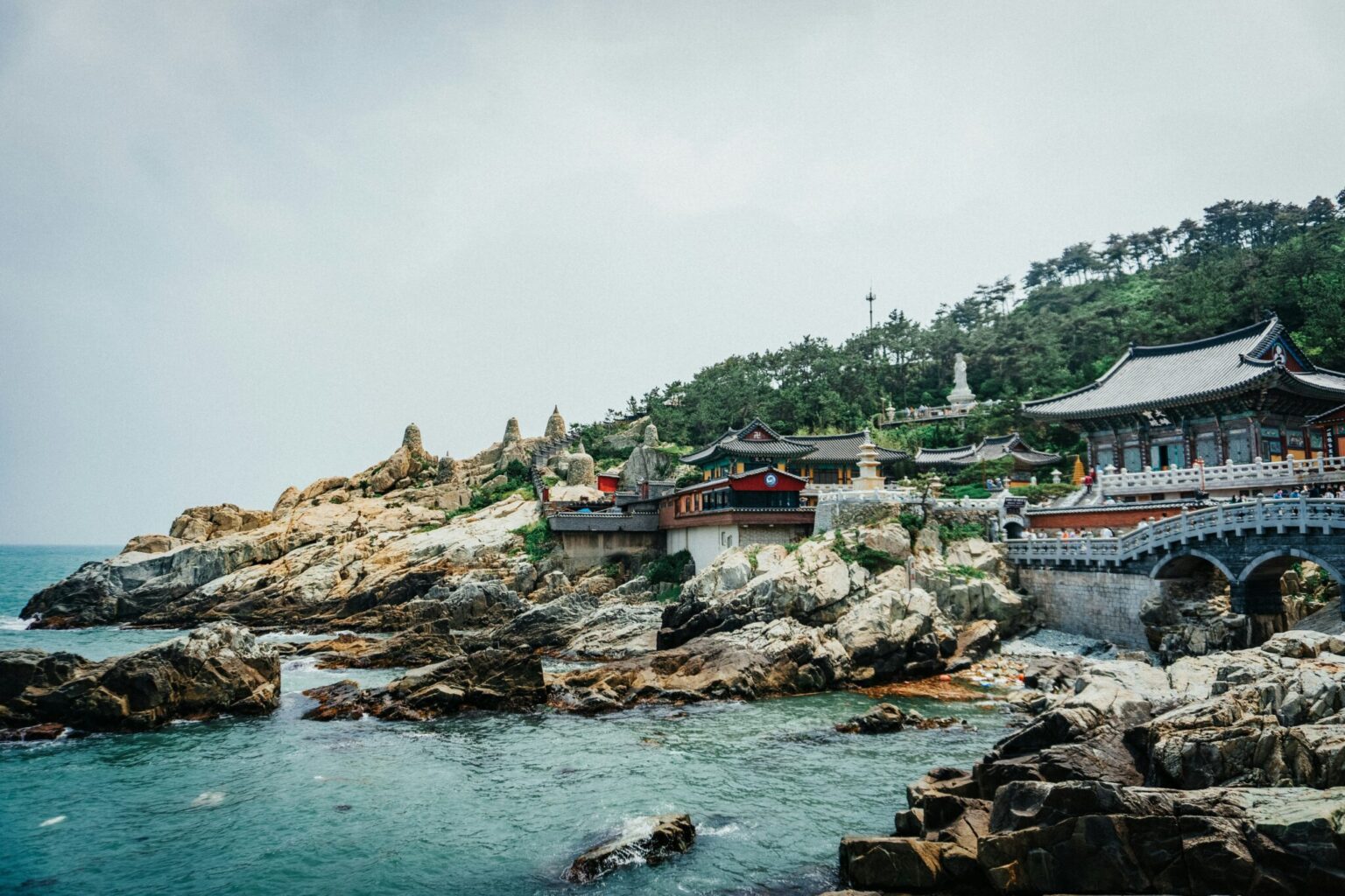 Spring Break in South Korea - BME - Global Engagement